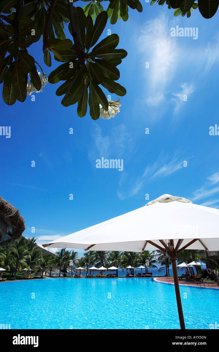 swimming pool with a view of blue sky Stock Photo - Alamy