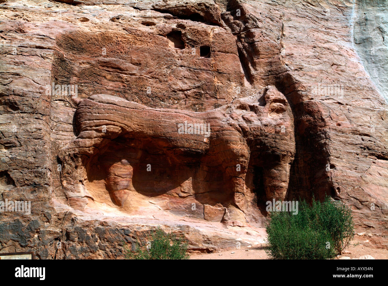 elephant shape carved into red sandstone cliff at petra jordan Stock ...