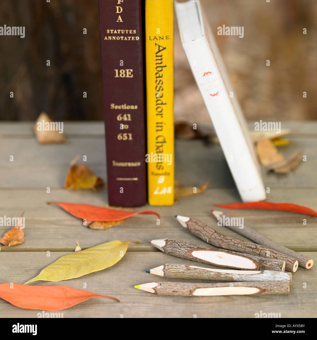 fallen leaves and books on the wooden bench Stock Photo - Alamy