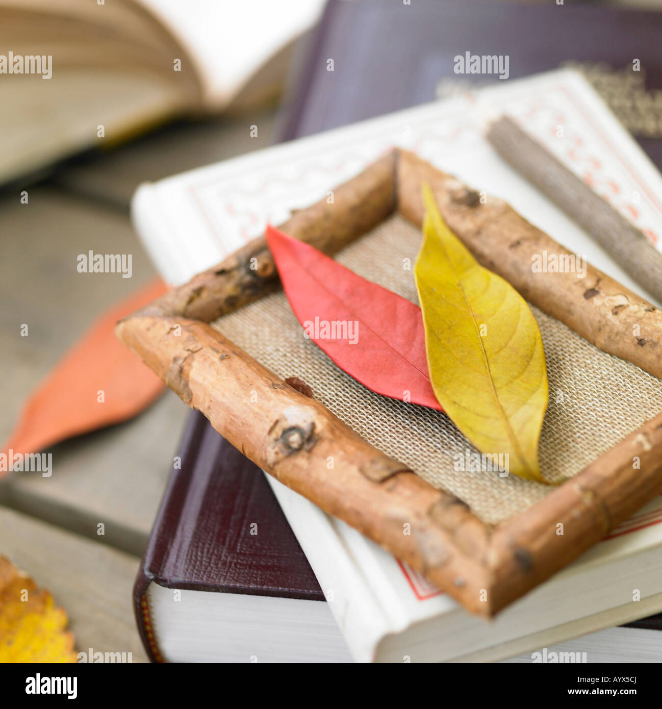 Still_photo hi-res stock photography and images - Alamy