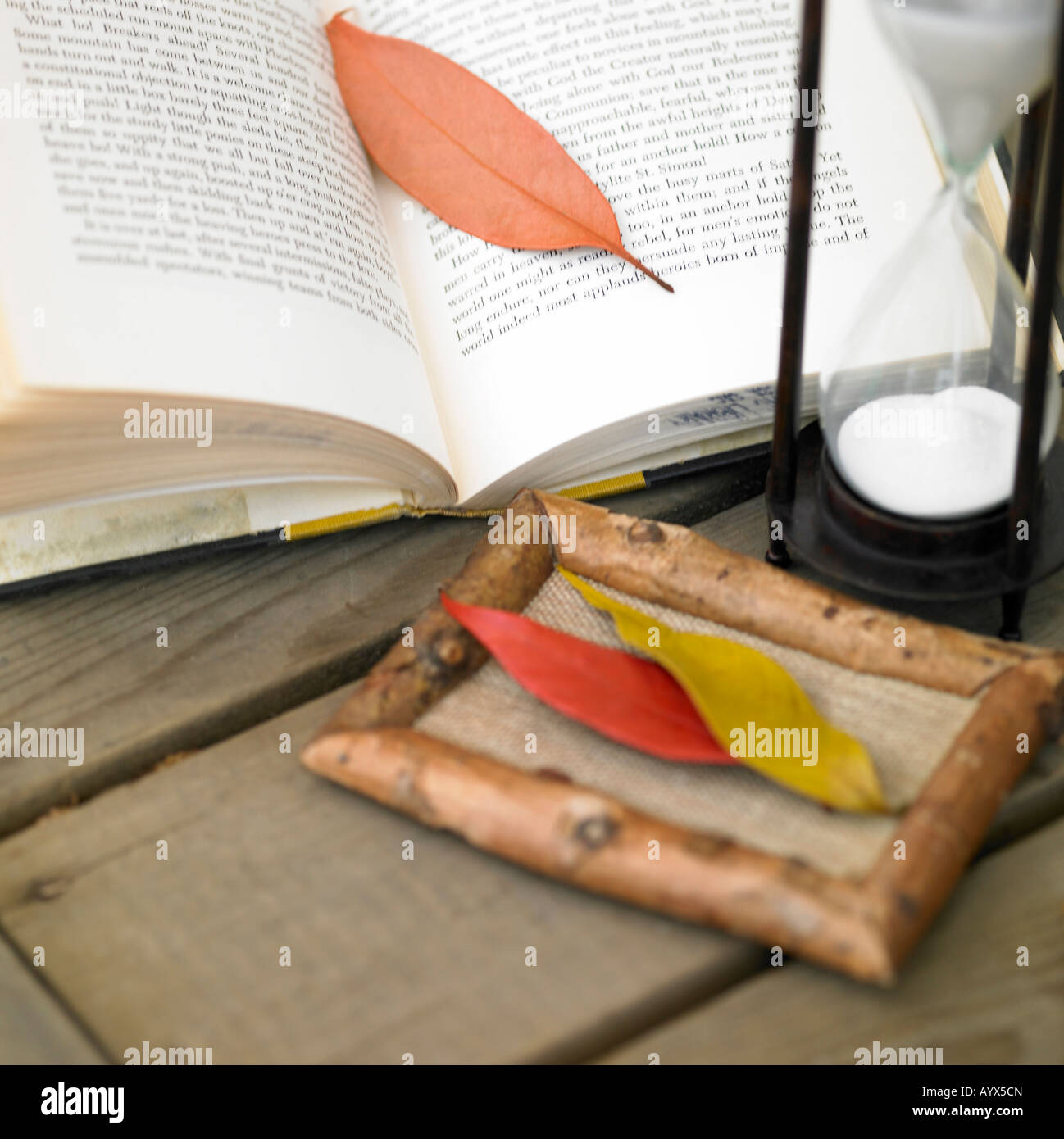 fallen leaves on the opened book Stock Photo - Alamy