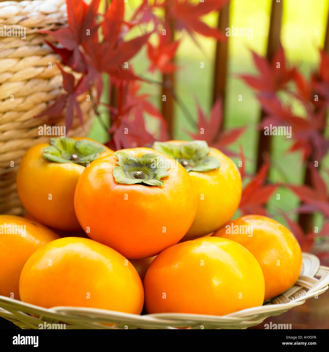 basket with persimmon and red maple leaf Stock Photo - Alamy