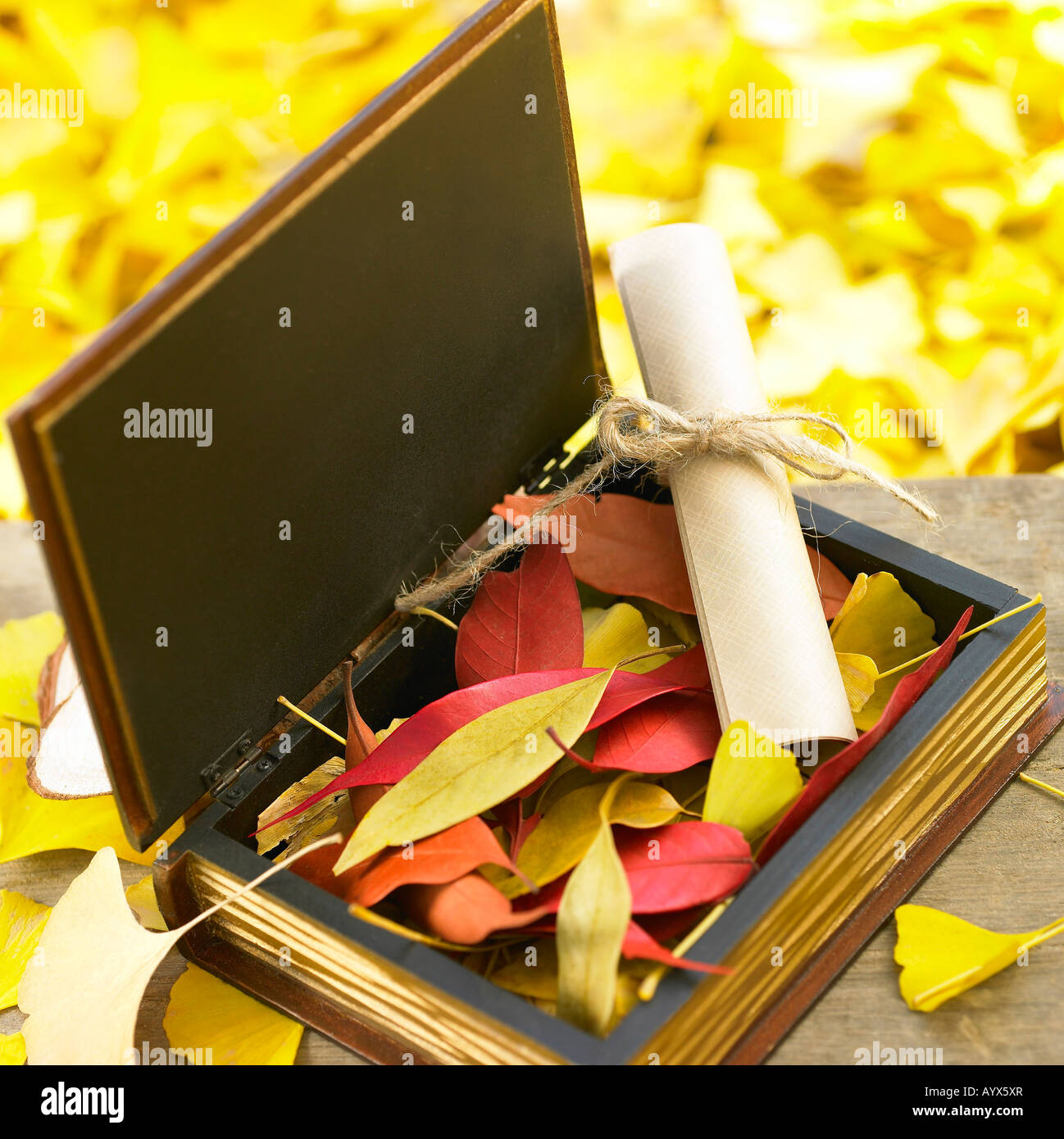 Fallen books hi-res stock photography and images - Alamy