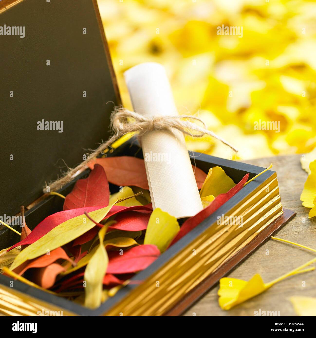 books with fallen leaves Stock Photo - Alamy