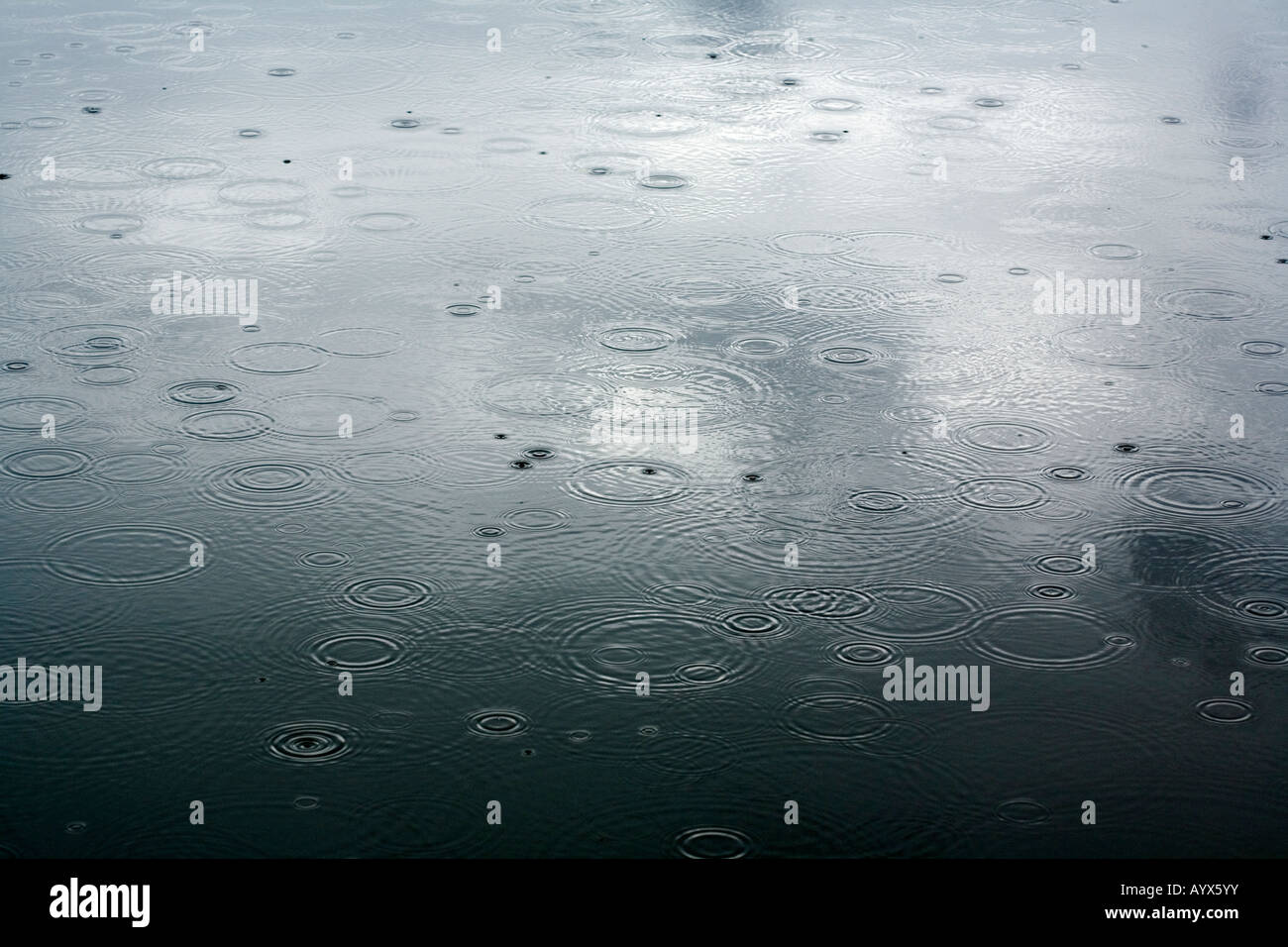 Rain drops falling on a lake Stock Photo - Alamy