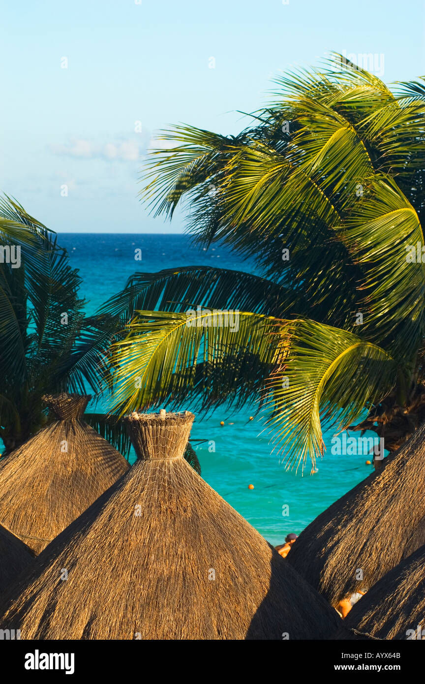 Palm trees and palapas in Playa Del Carmen Mexico Stock Photo - Alamy