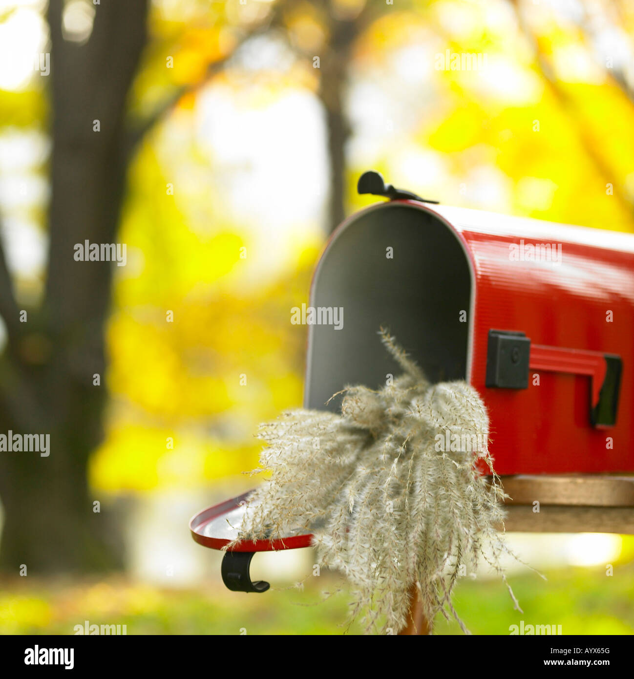 red post box with reed Stock Photo - Alamy