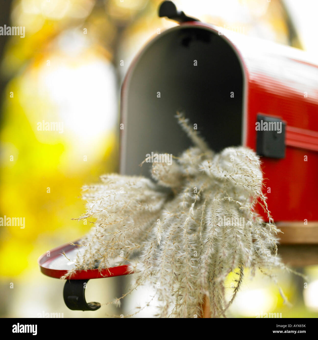 red post box with reed Stock Photo - Alamy