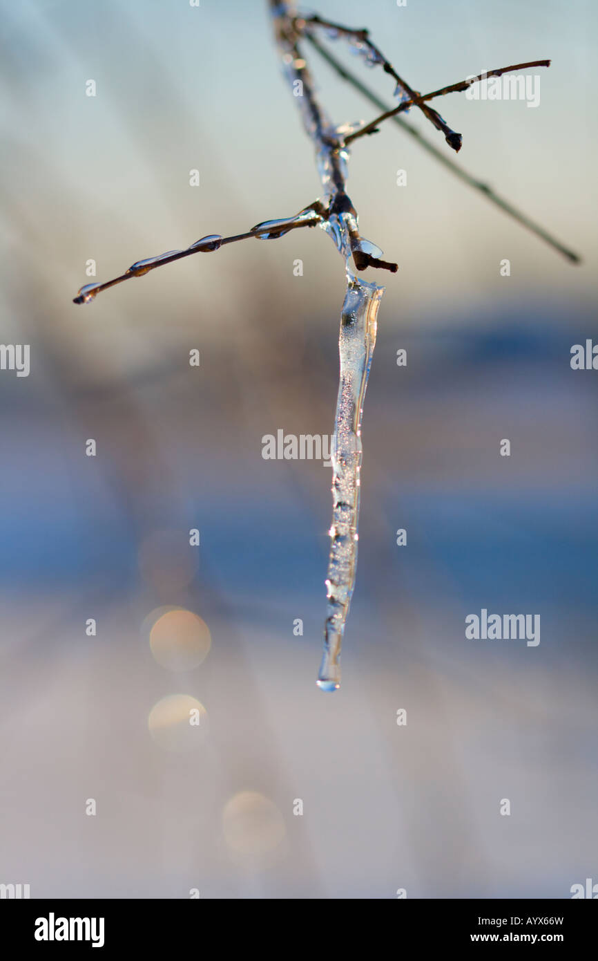 Branch breaking off hi-res stock photography and images - Alamy
