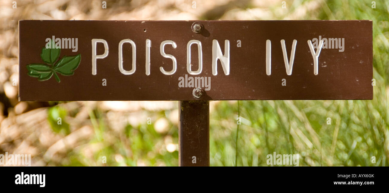 Poison Ivy Sign Stock Photo - Alamy