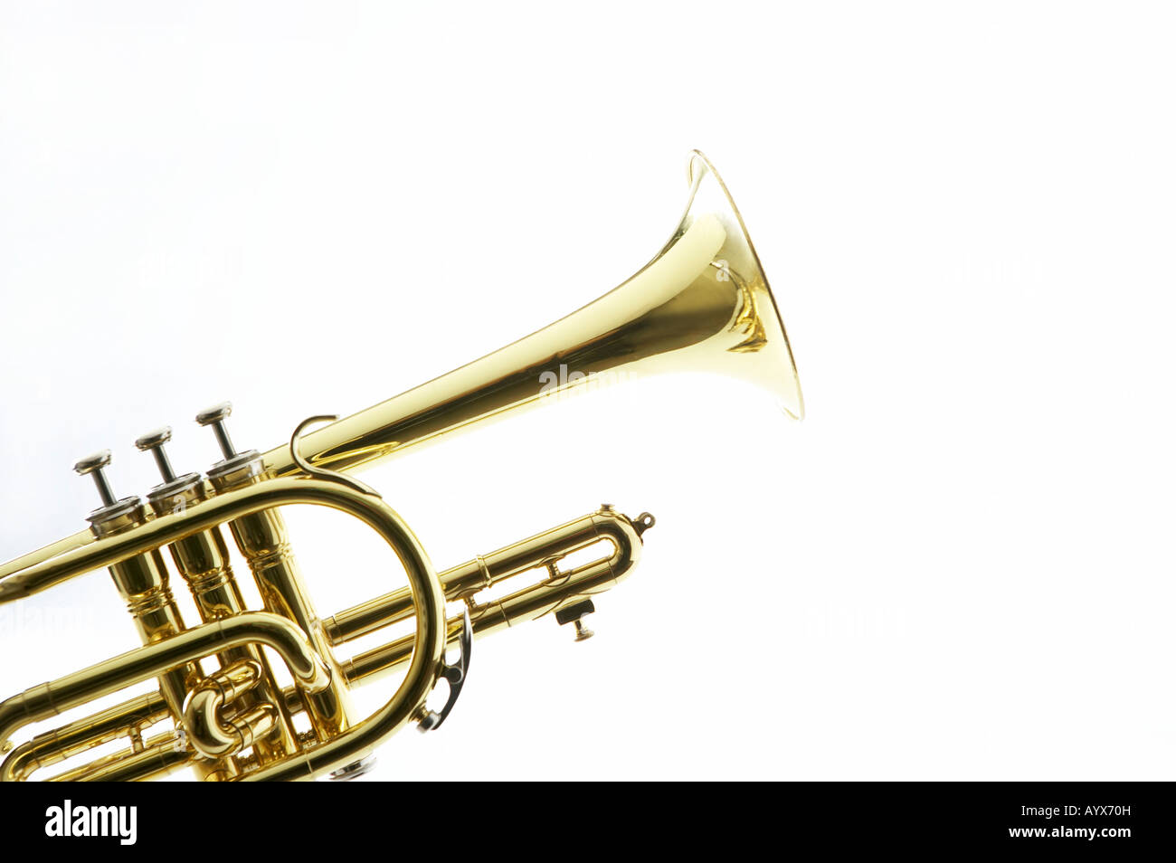 trumpet on white background Stock Photo - Alamy