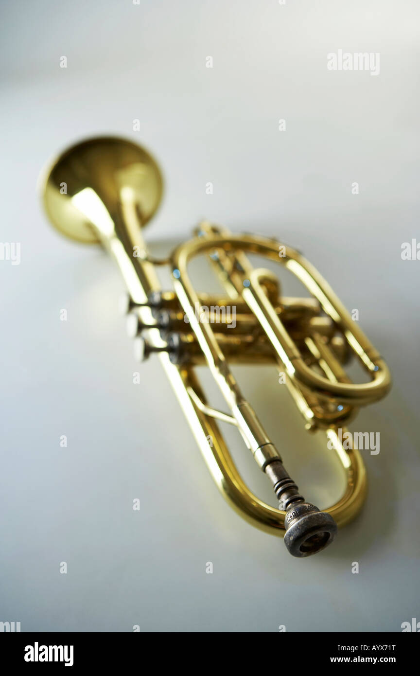 trumpet on white background Stock Photo - Alamy