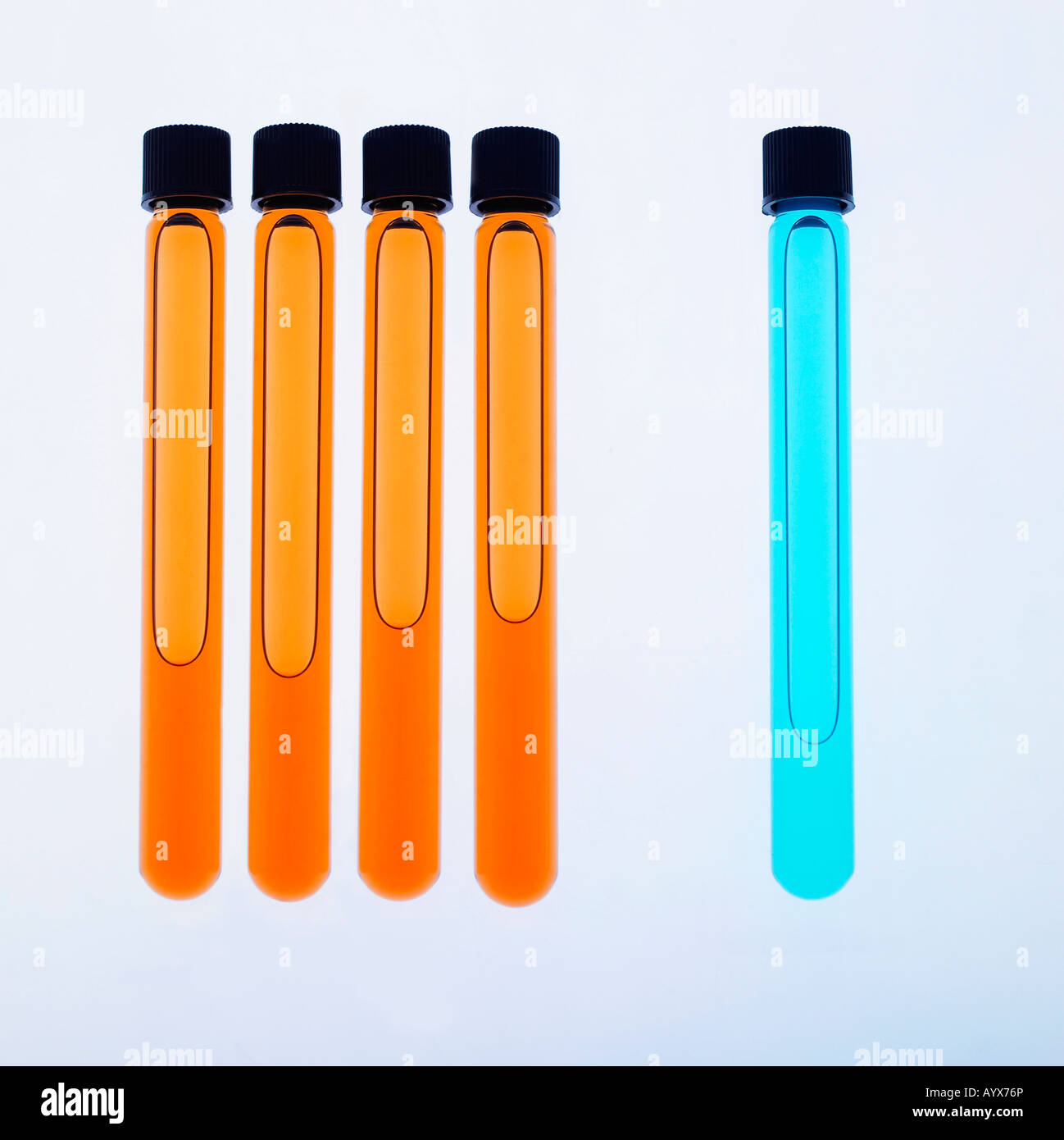 test tube with orange color fluid and blue color fluid Stock Photo - Alamy