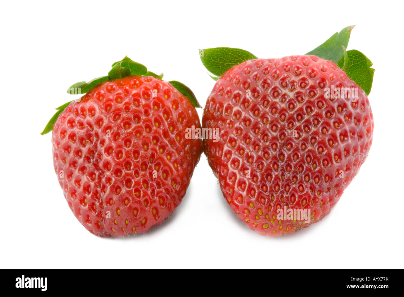 the two red strawberries isolated on white background Stock Photo - Alamy