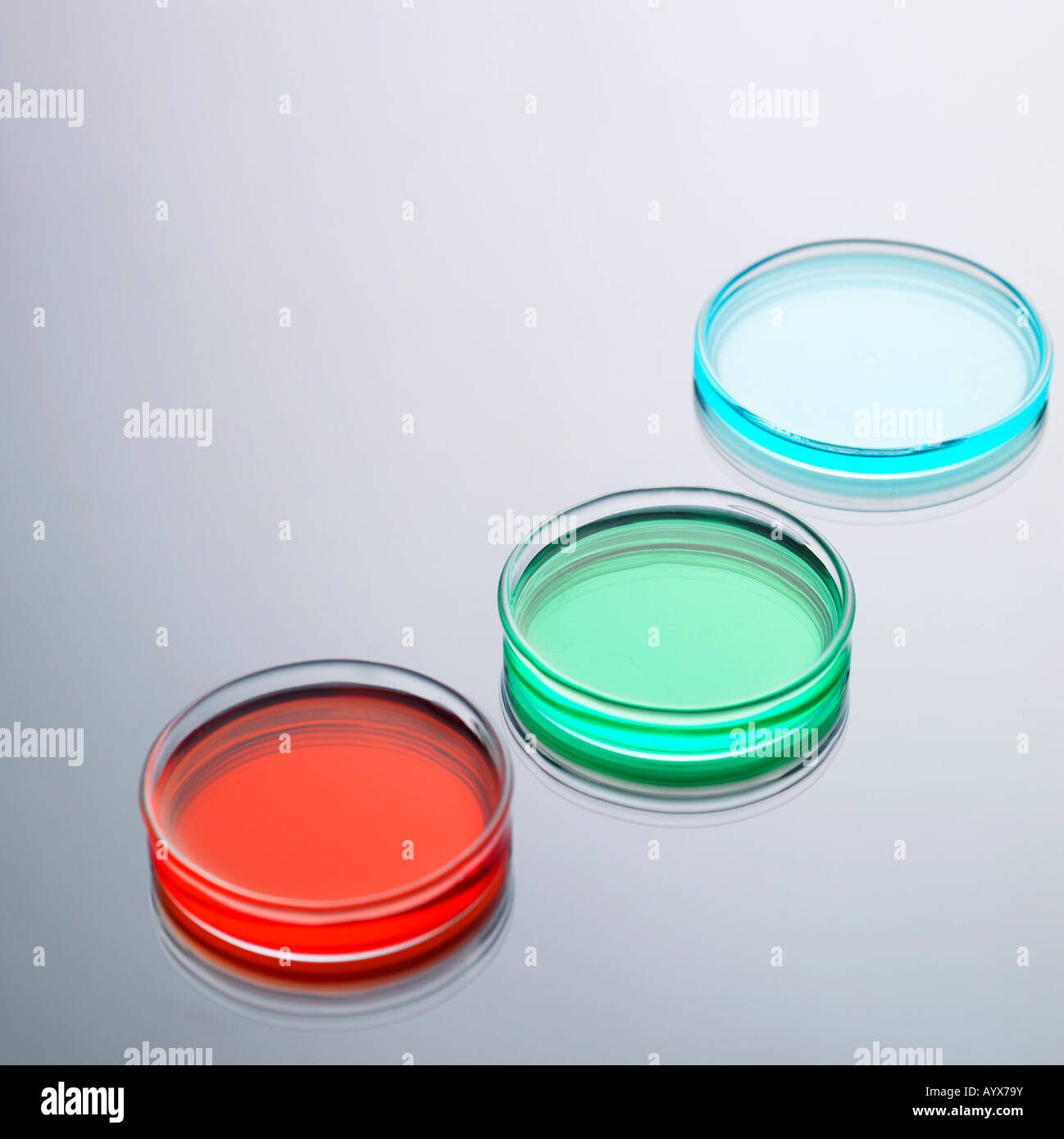 watch glass with various color of fluid Stock Photo - Alamy