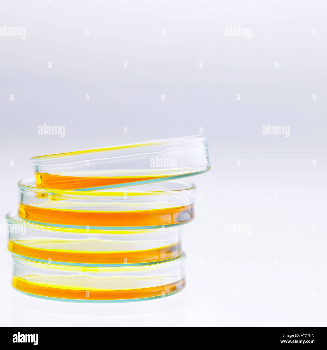 stack of watch glass Stock Photo - Alamy