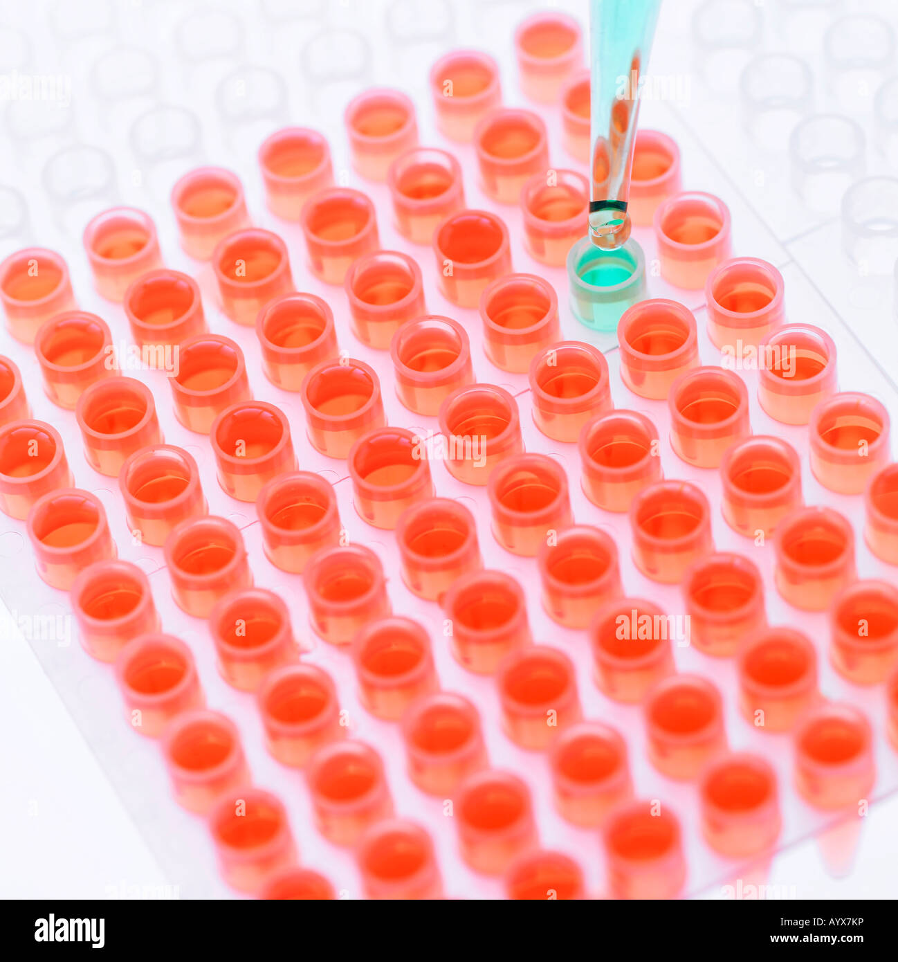 green test tube in red test tube Stock Photo - Alamy