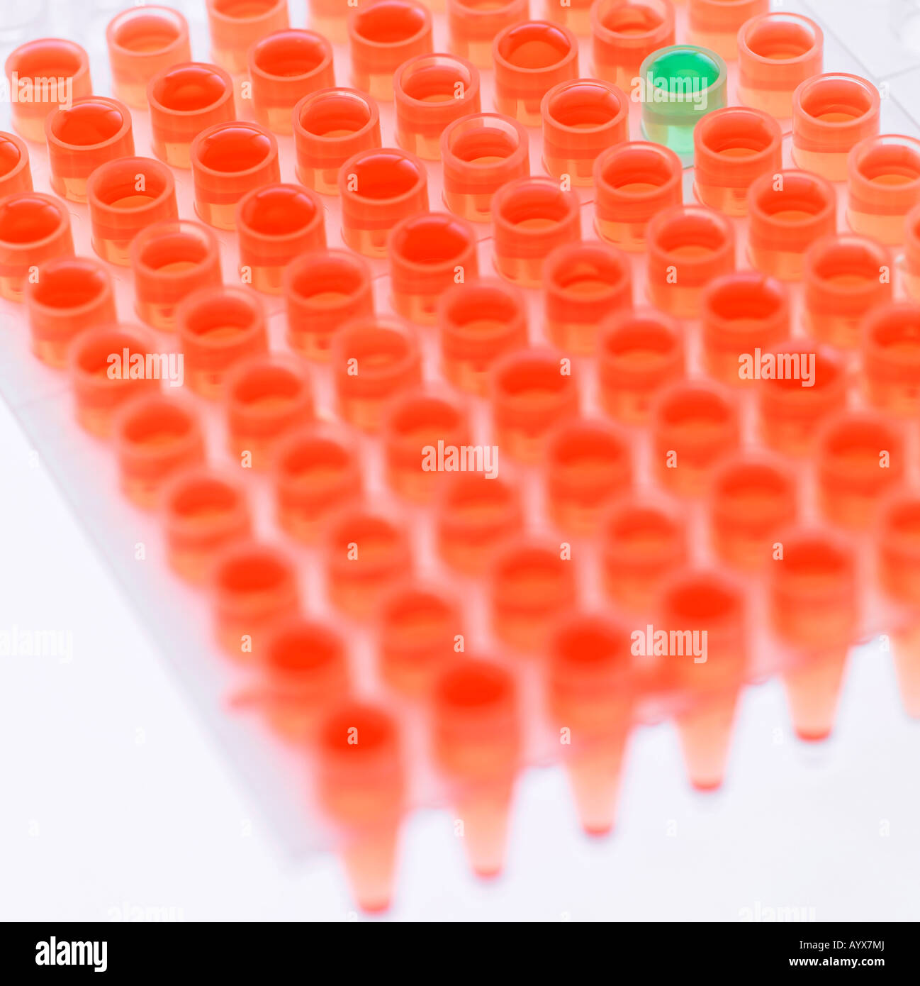 green test tube in red test tube Stock Photo - Alamy