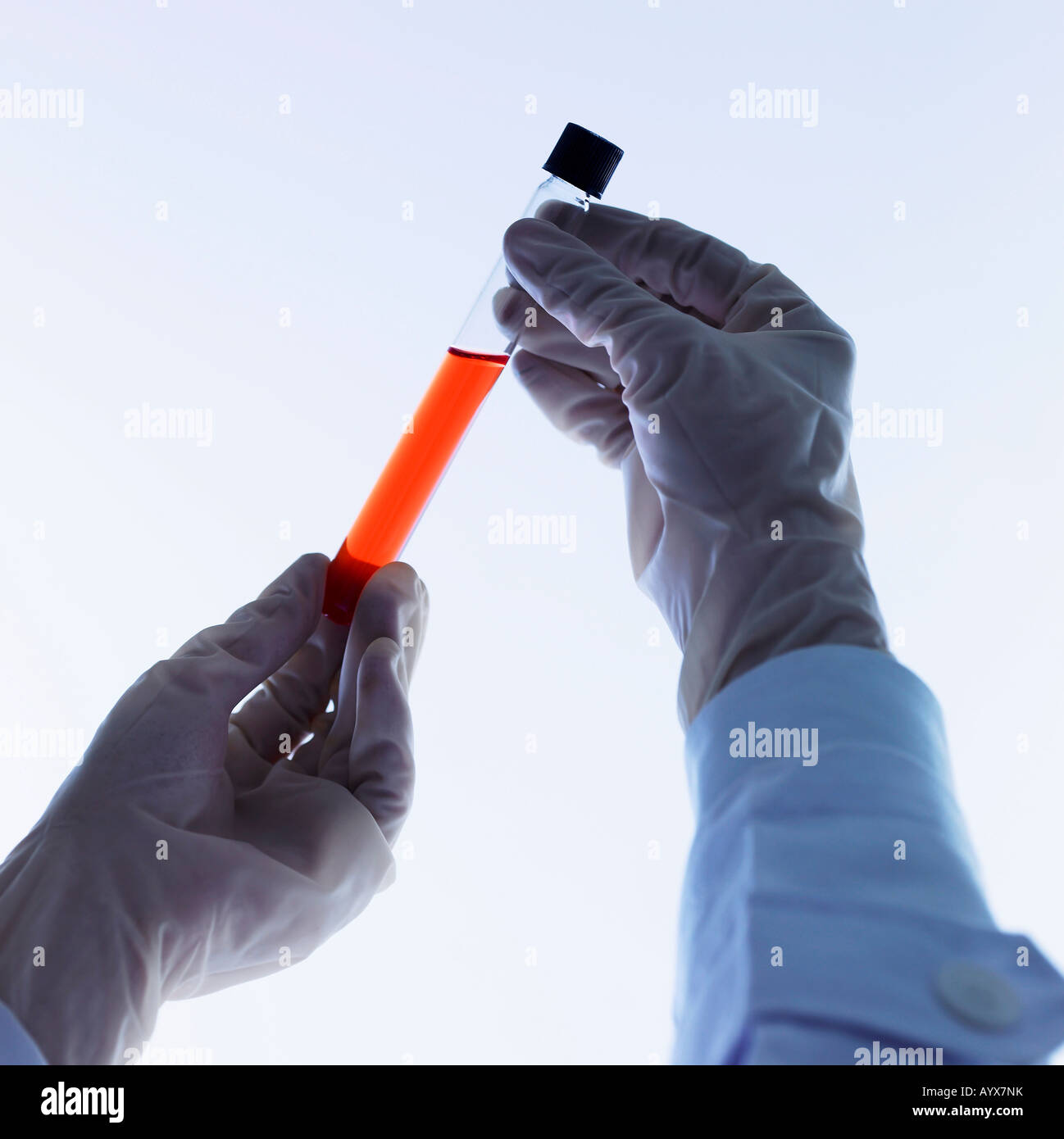 hand holding orange test tube Stock Photo - Alamy