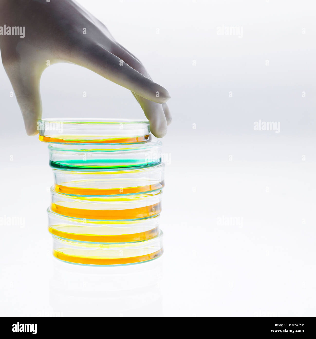 stack of watch glass Stock Photo - Alamy