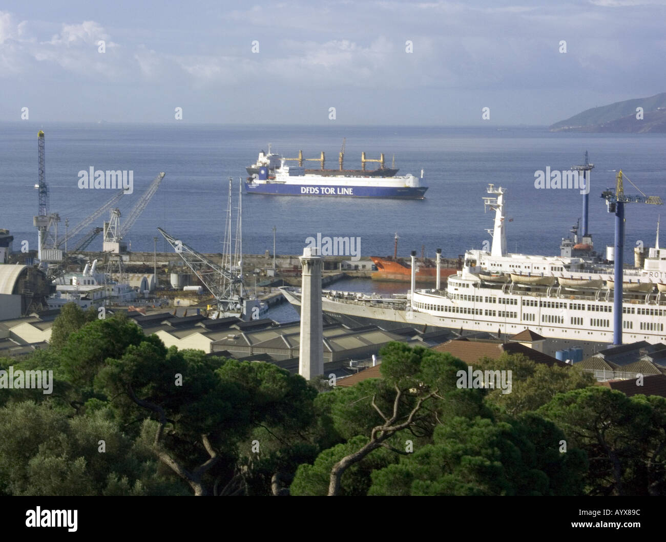 Gibraltar shipyard Ship Ttrees Stock Photo - Alamy
