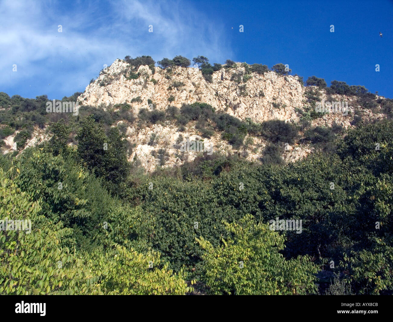 Scrub covered sheer Jurassic Limestone Cliffs, Gibraltar, Europe Stock ...