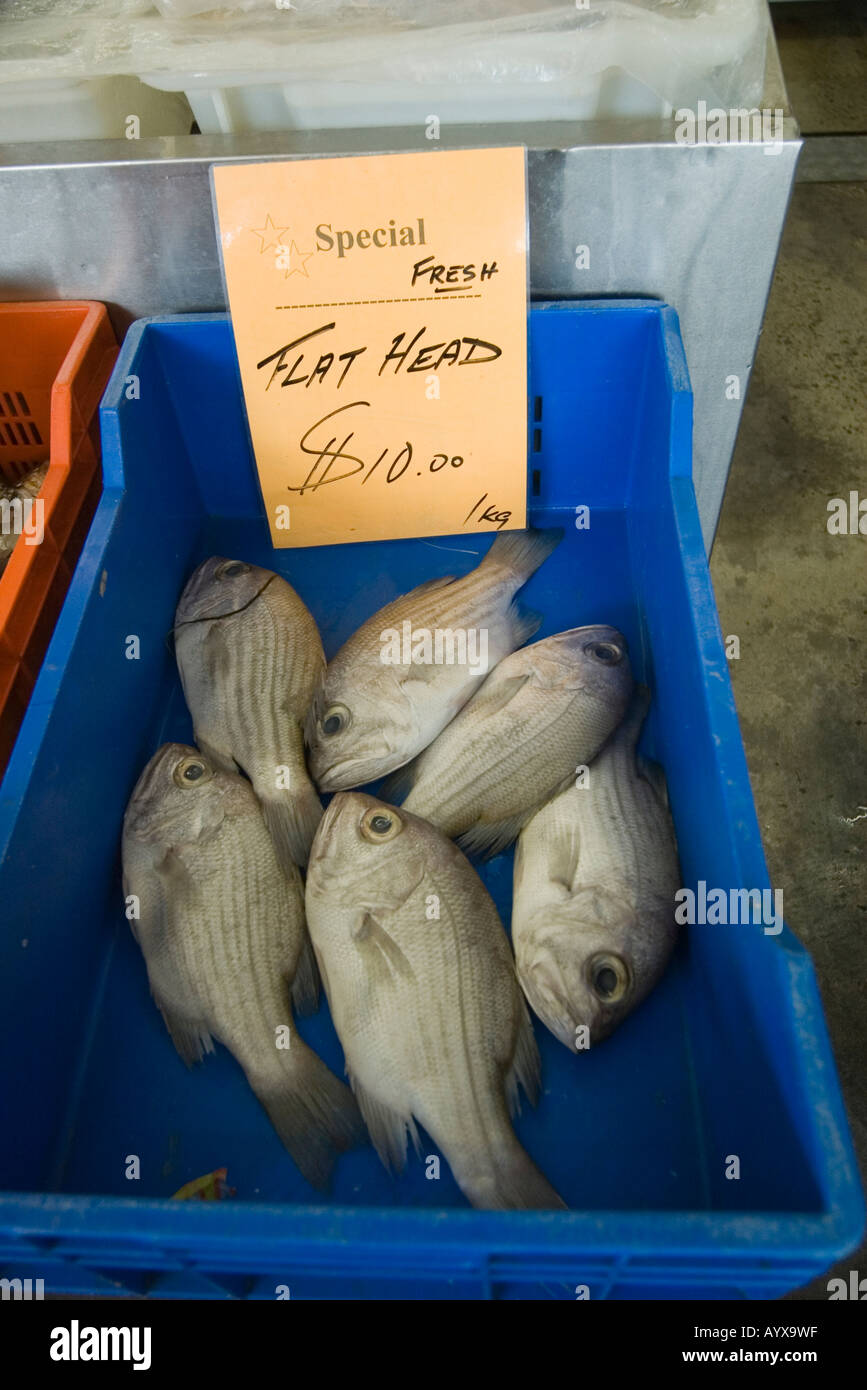 Fresh Fish on display in Fish Market Stock Photo - Alamy