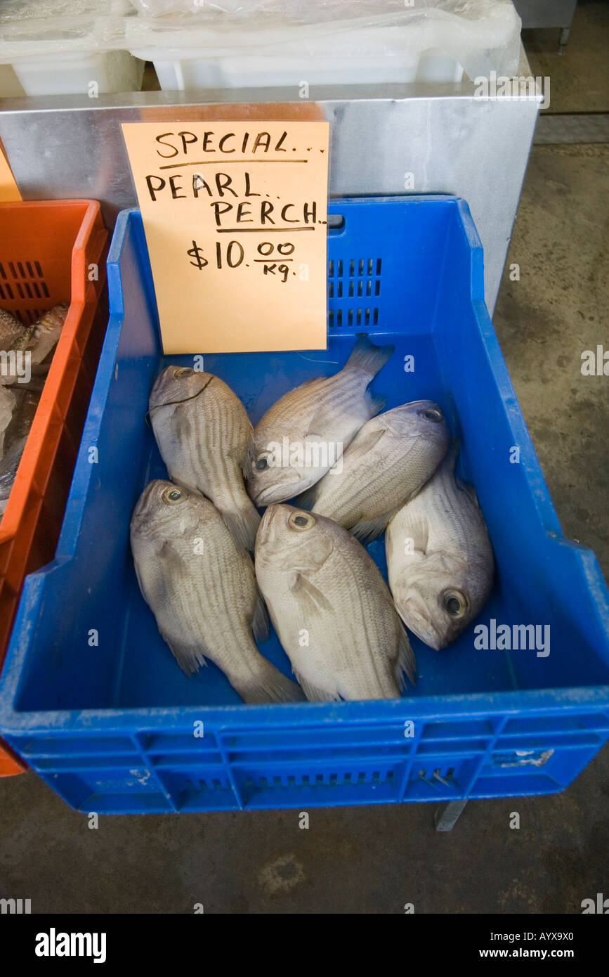 Fresh Fish on display in Fish Market Stock Photo - Alamy