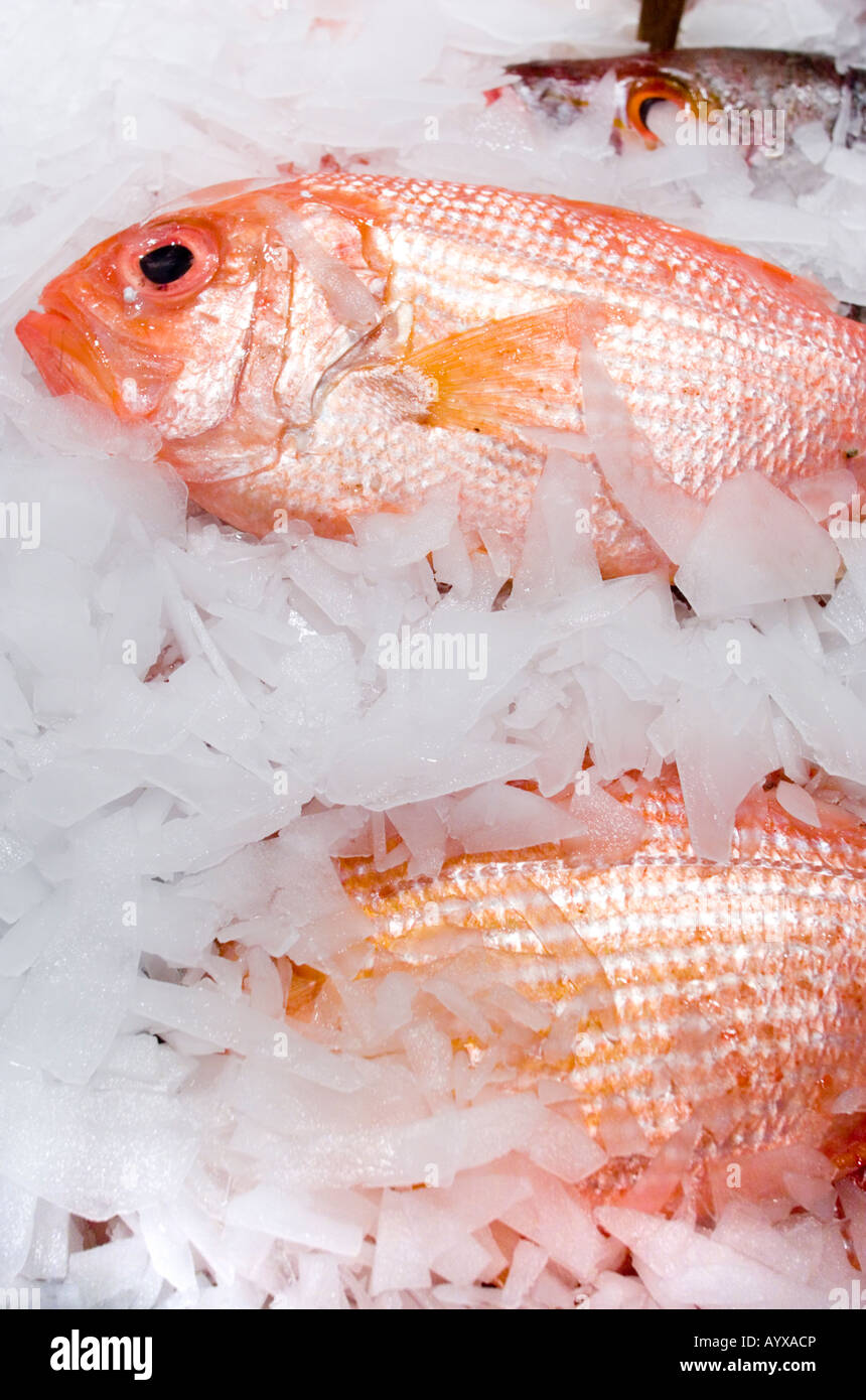 red fish for sale in market Stock Photo - Alamy