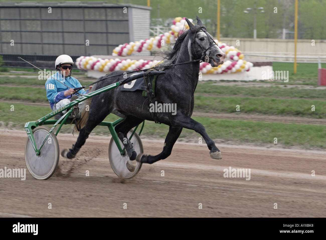Trotting racing driver hi-res stock photography and images - Alamy