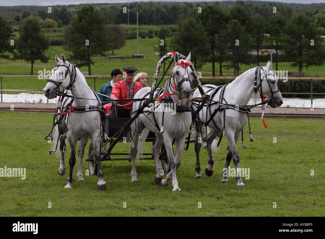Three wheeled carriage hi-res stock photography and images - Alamy