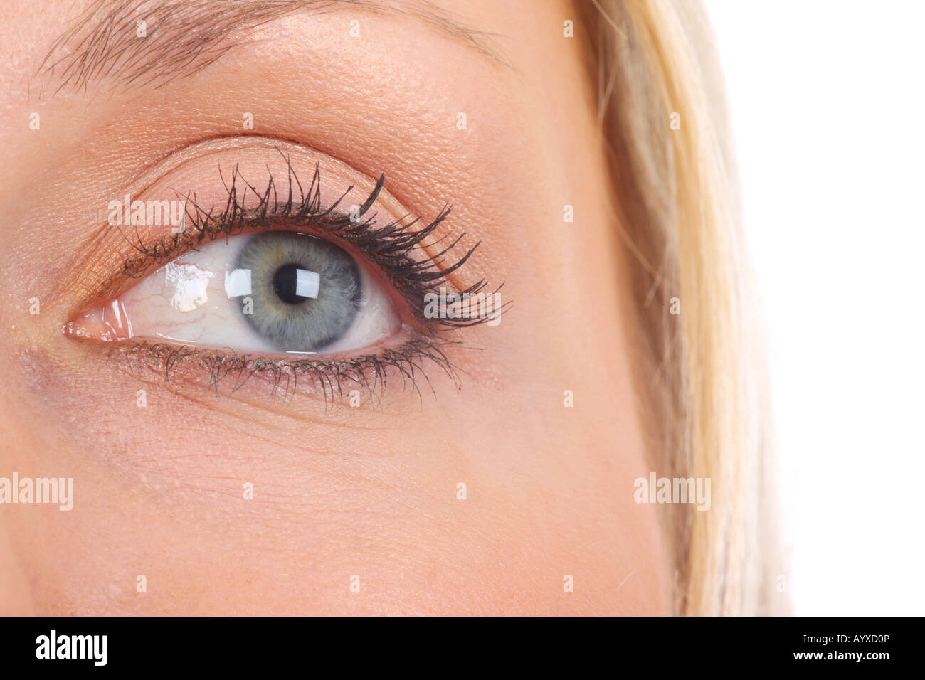 Young Woman s Eye Model Released Stock Photo - Alamy