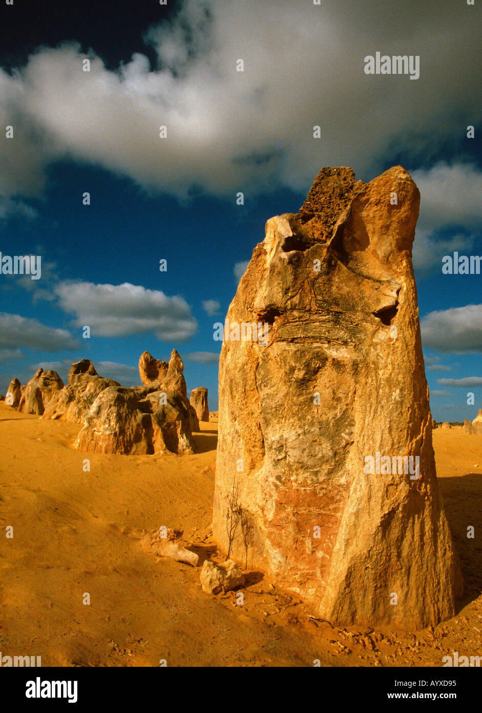 Pinnacles Desert Nambung National Park Western Australia Stock Photo ...