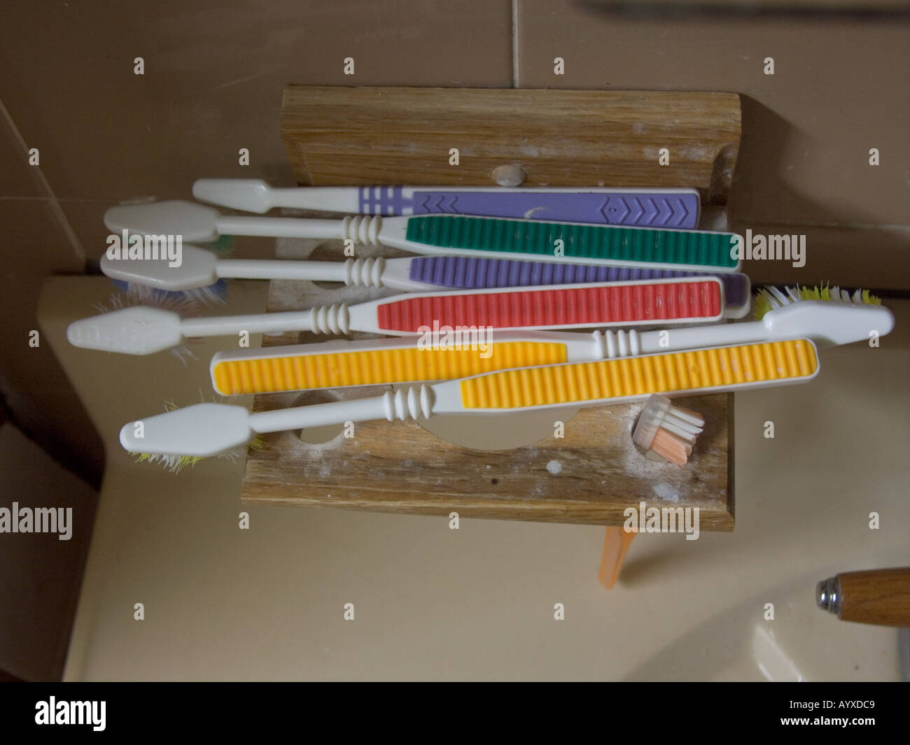 Close up toothbrushes in holder hi-res stock photography and images - Alamy