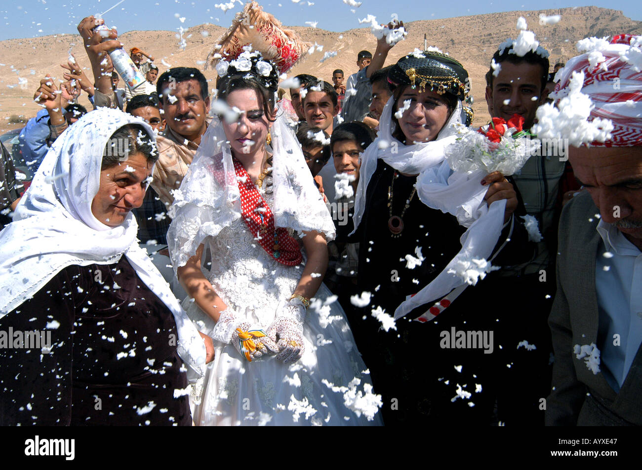Traditional Yazidi Wedding celebration Northen Iraq Stock Photo - Alamy