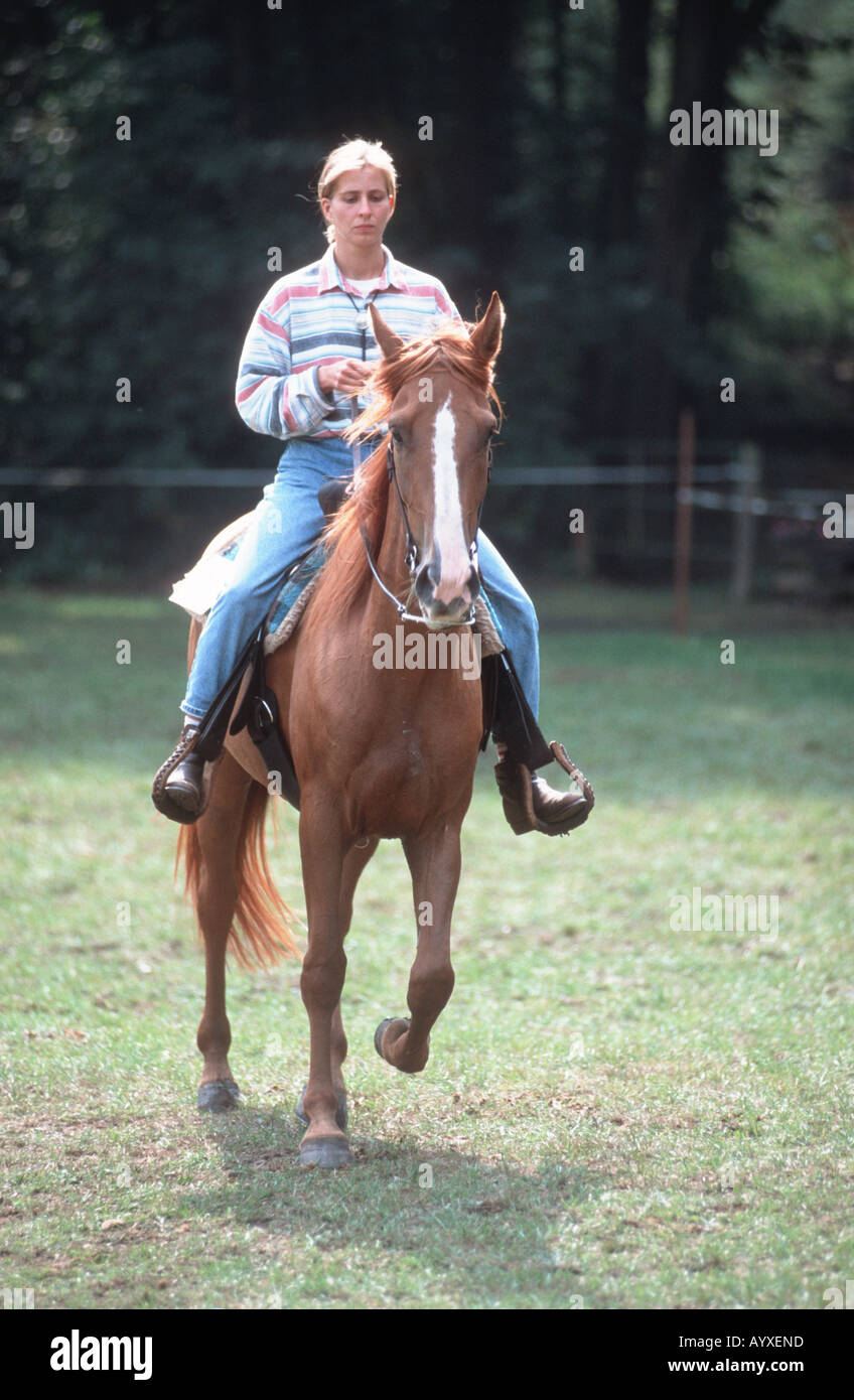 Tennessee horse riding hi-res stock photography and images - Alamy