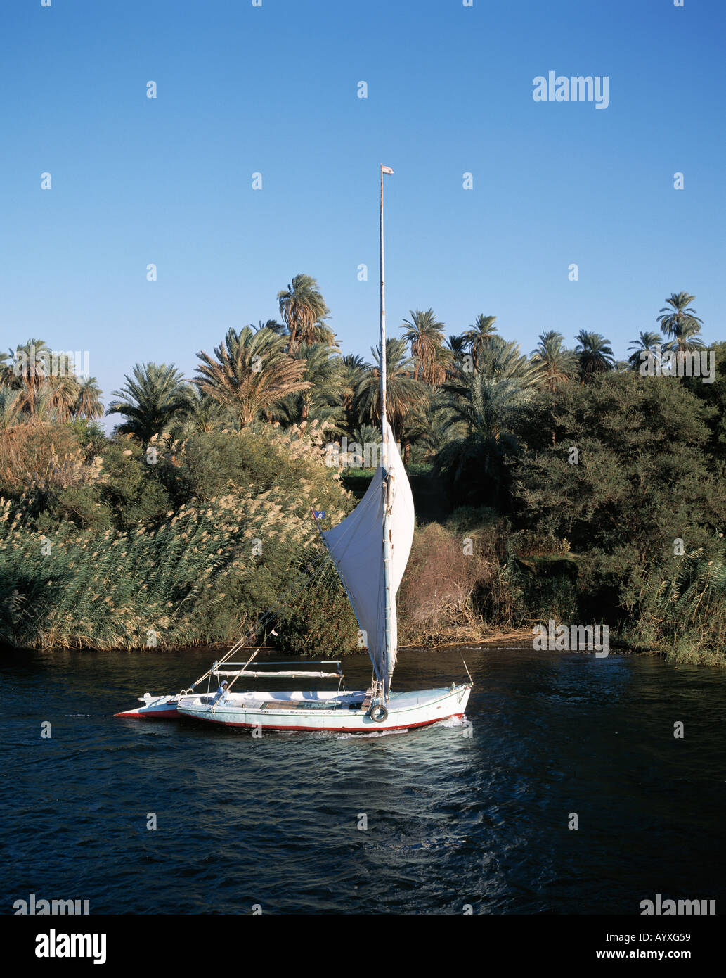 Nillandschaft, Flusslandschaft, Nilufer, Segelschiff, Feluke auf dem ...