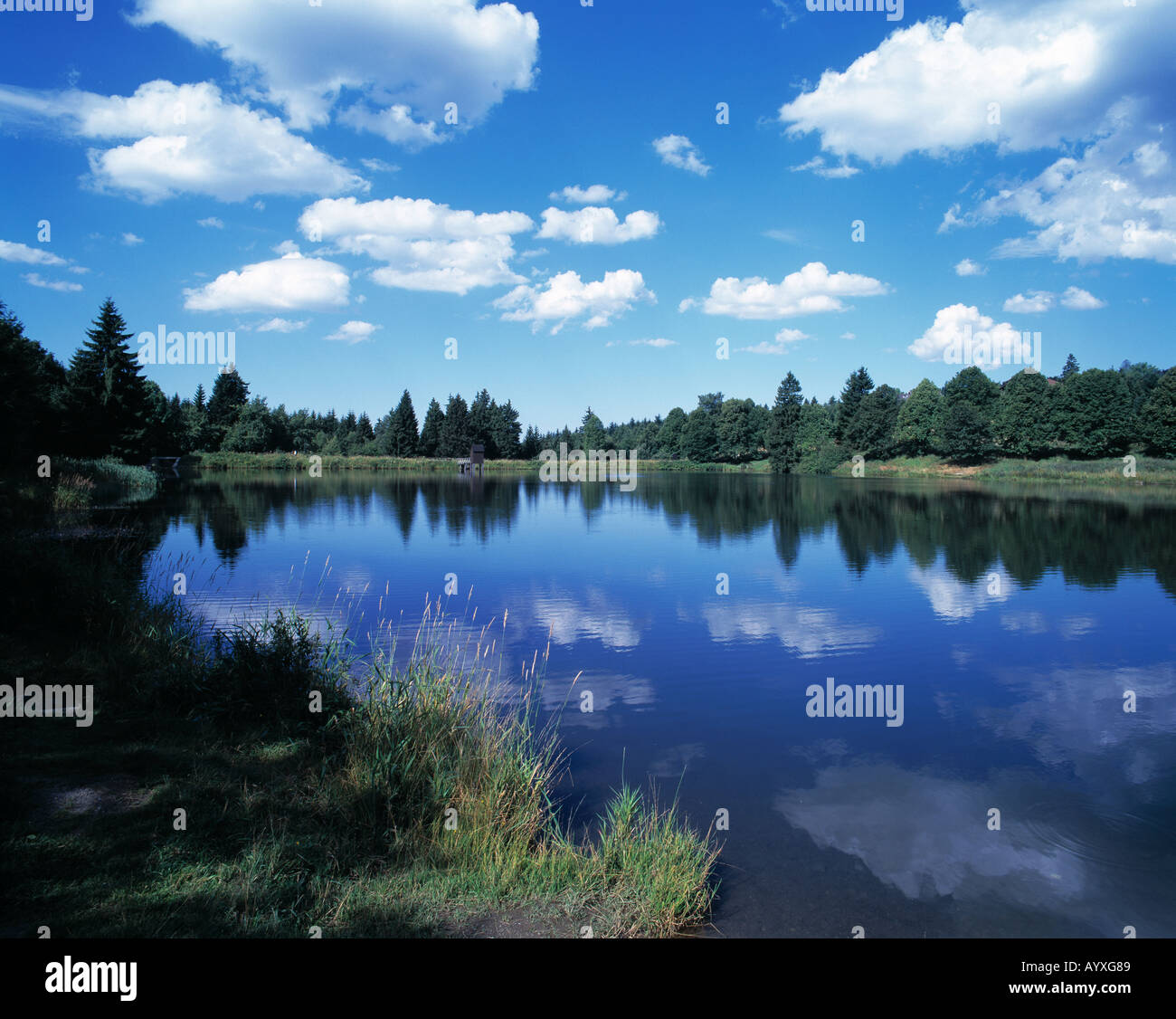 Waldsee, ruhiger See in einer Waldlandschaft, Schoenwetterwolken ...
