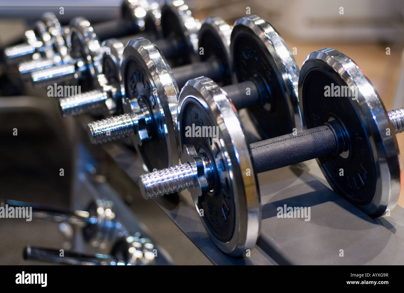 weights on the fitness fair FIBO in Essen Germany Stock Photo - Alamy