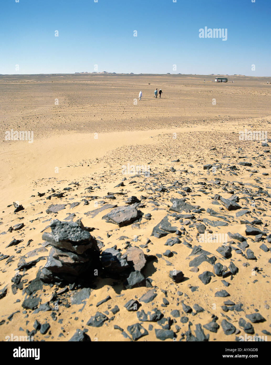 Egypt, Western Desert, tourists, desert landscape Stock Photo - Alamy