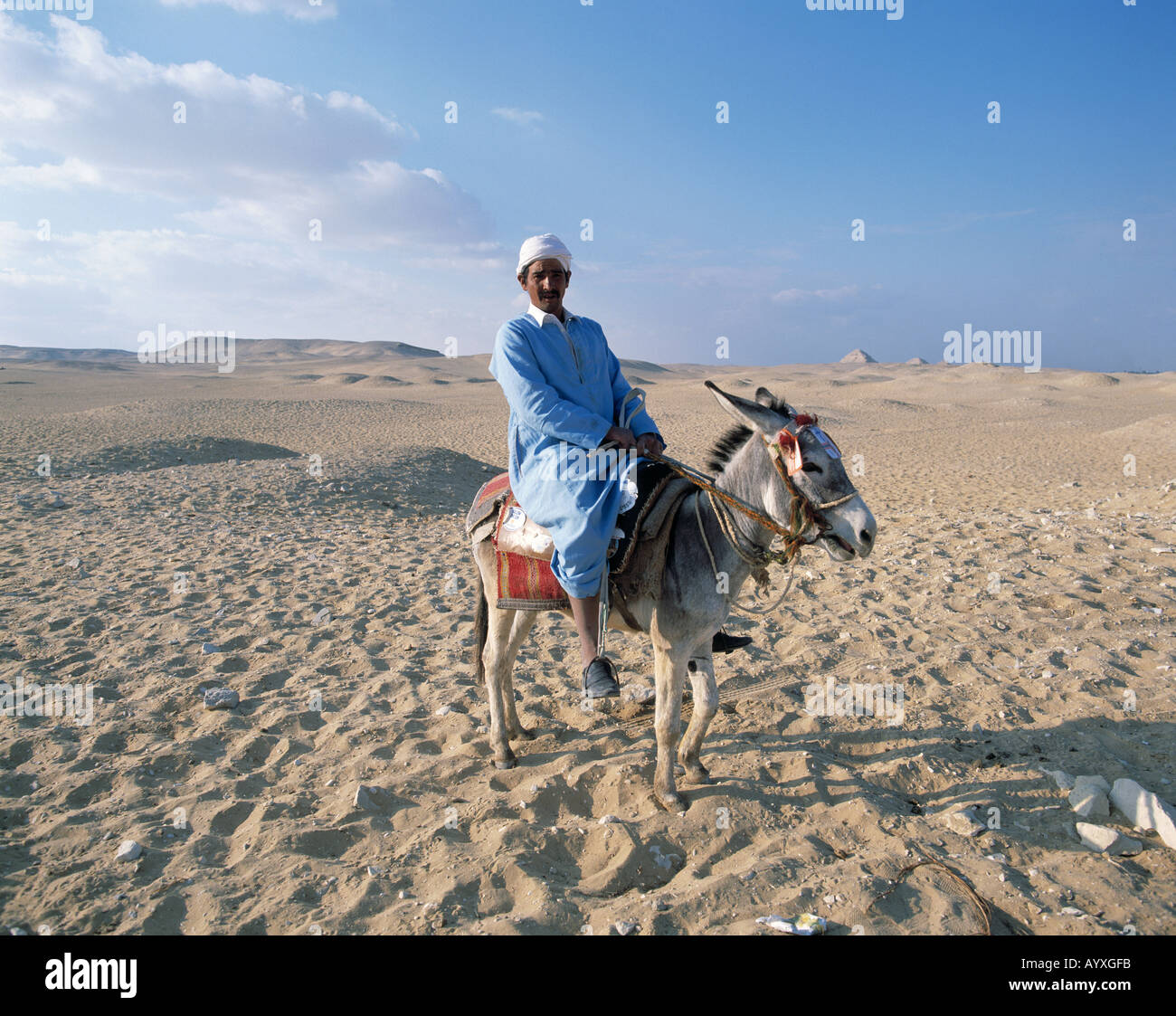 Egyptian riding donkey hi-res stock photography and images - Alamy