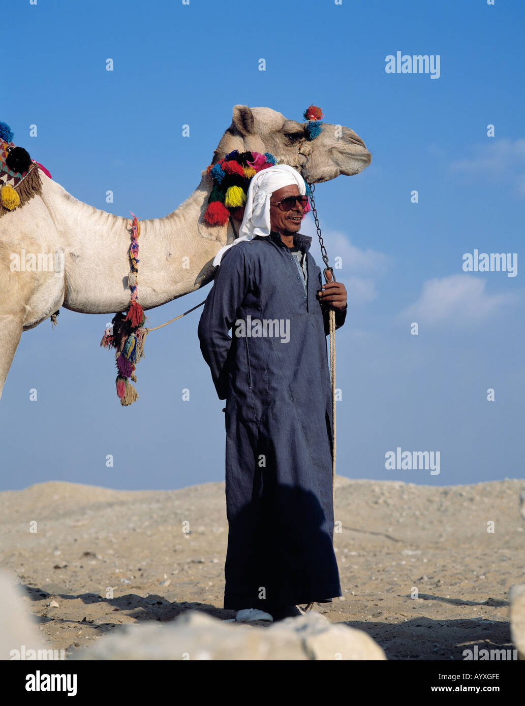 Egypt, camel driver, dromedary Stock Photo - Alamy