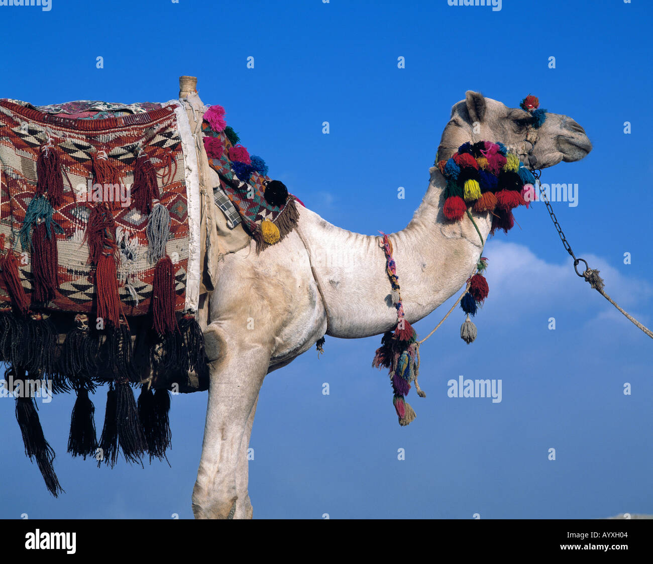 Egy symbol hi-res stock photography and images - Alamy