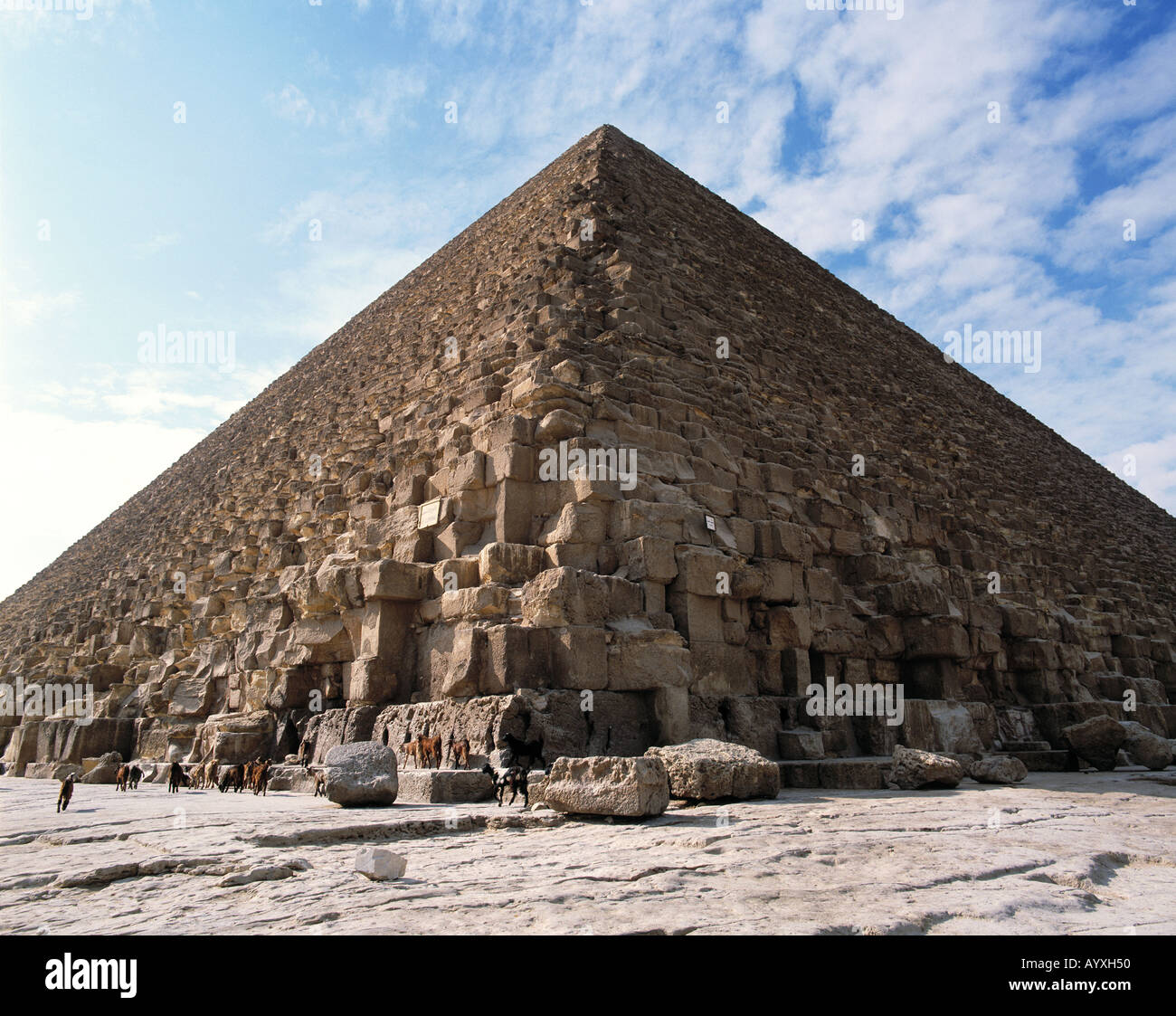 Cheops-Pyramide in Giseh, Mittelaegypten Stock Photo - Alamy