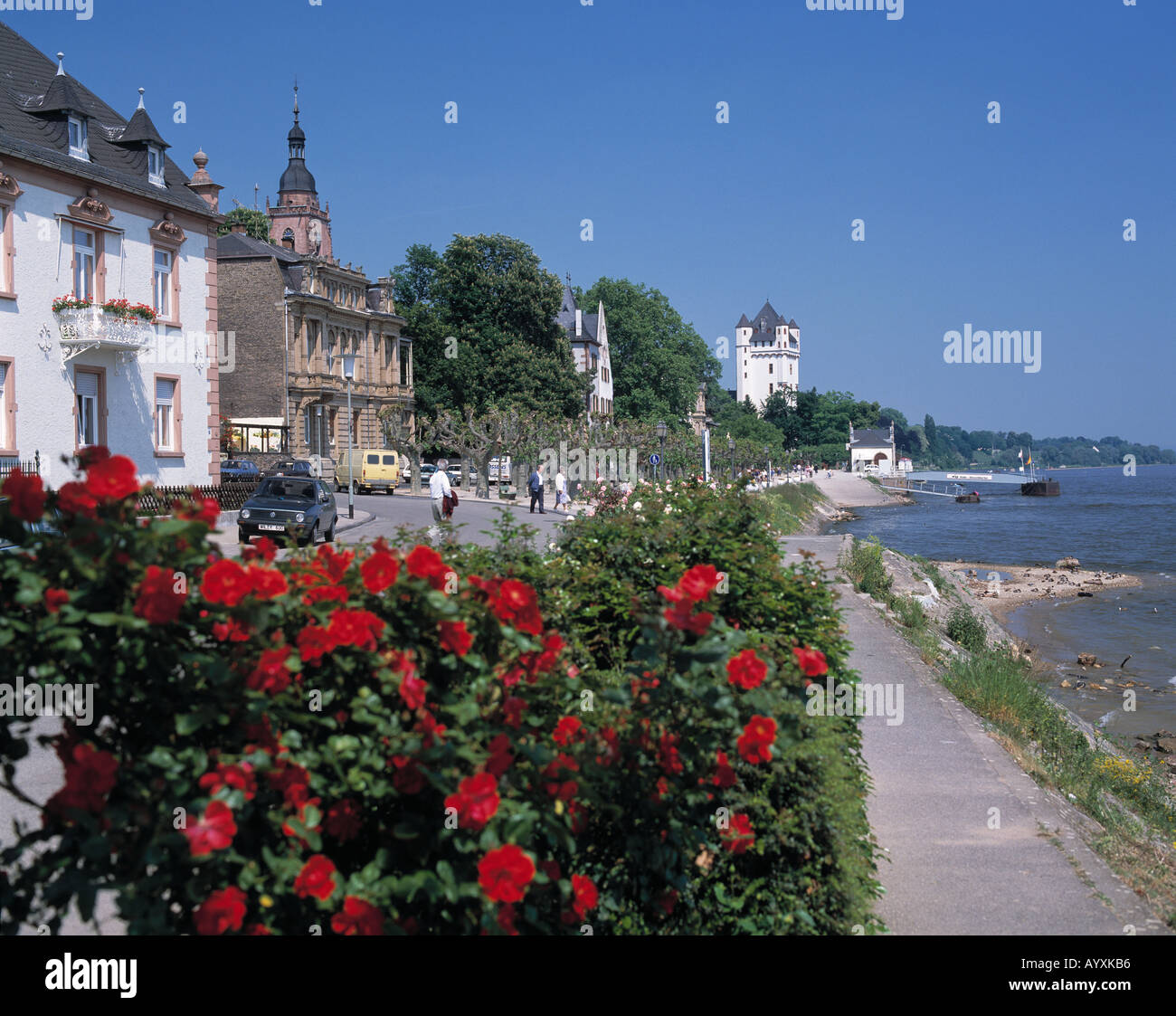 Rheinuferpromenade, Pfarrkirche, Kurfuerstliche Burg, Eltville, Rhein ...