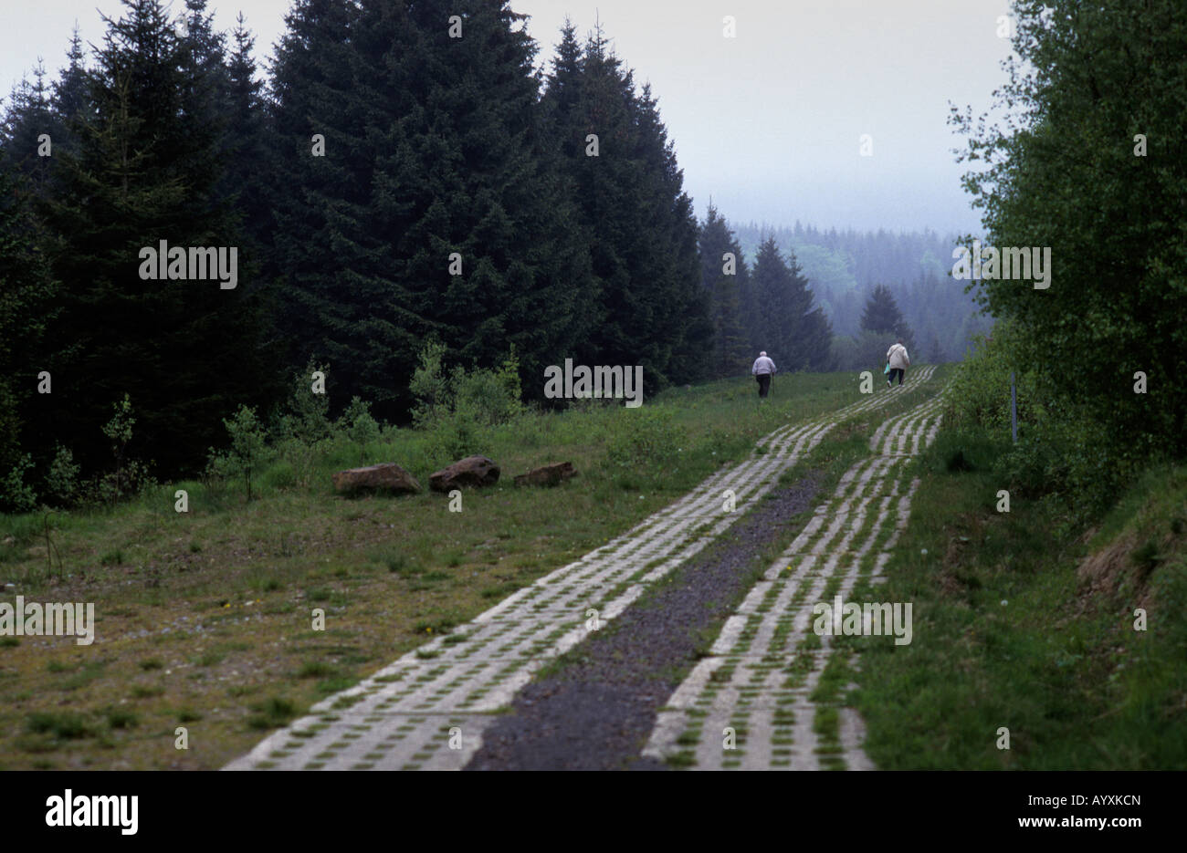 GERMANY DDR BORDER TANK TRACKS WALKING HARZ Stock Photo - Alamy