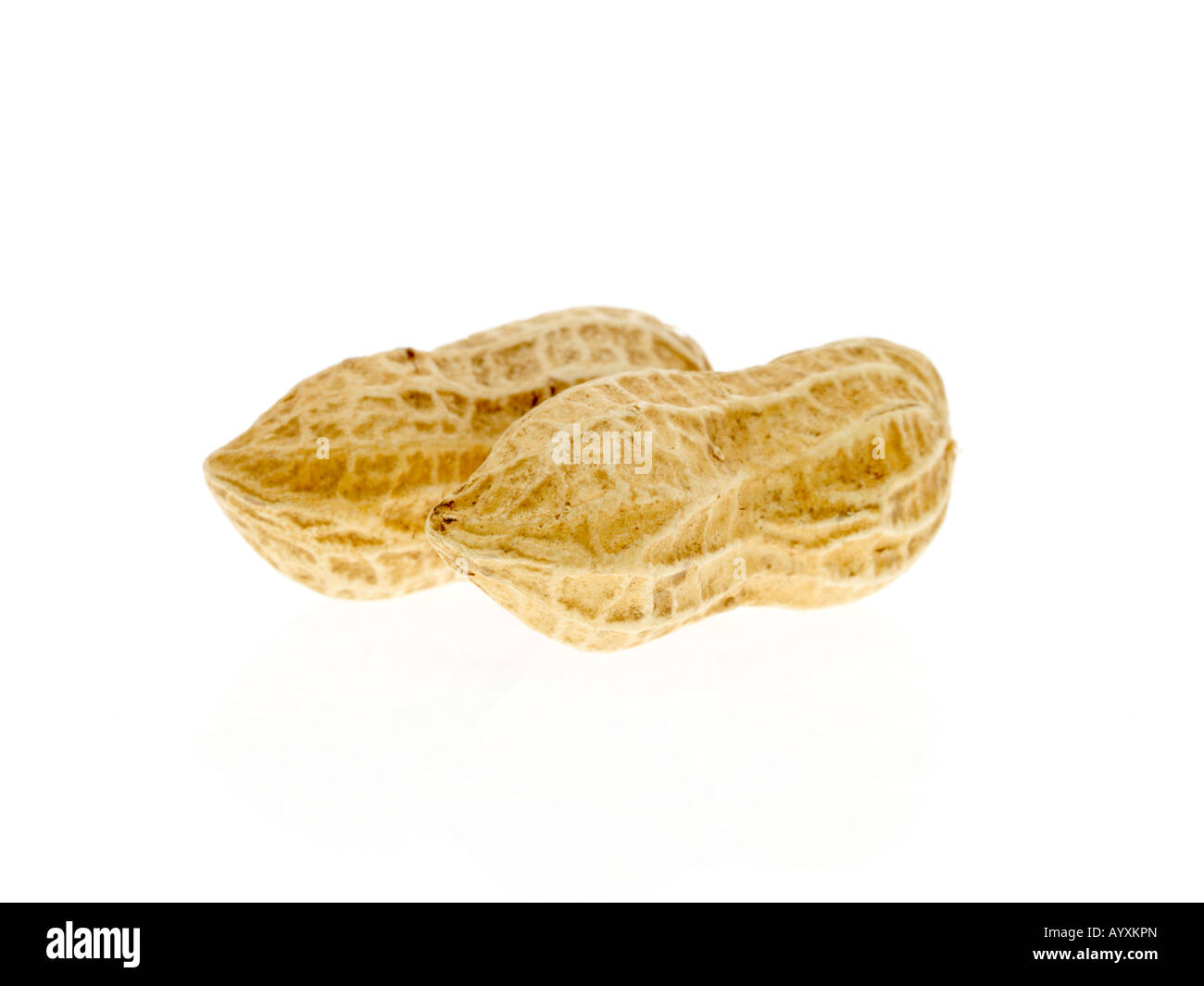 Roasted Monkey Nuts Stock Photo - Alamy