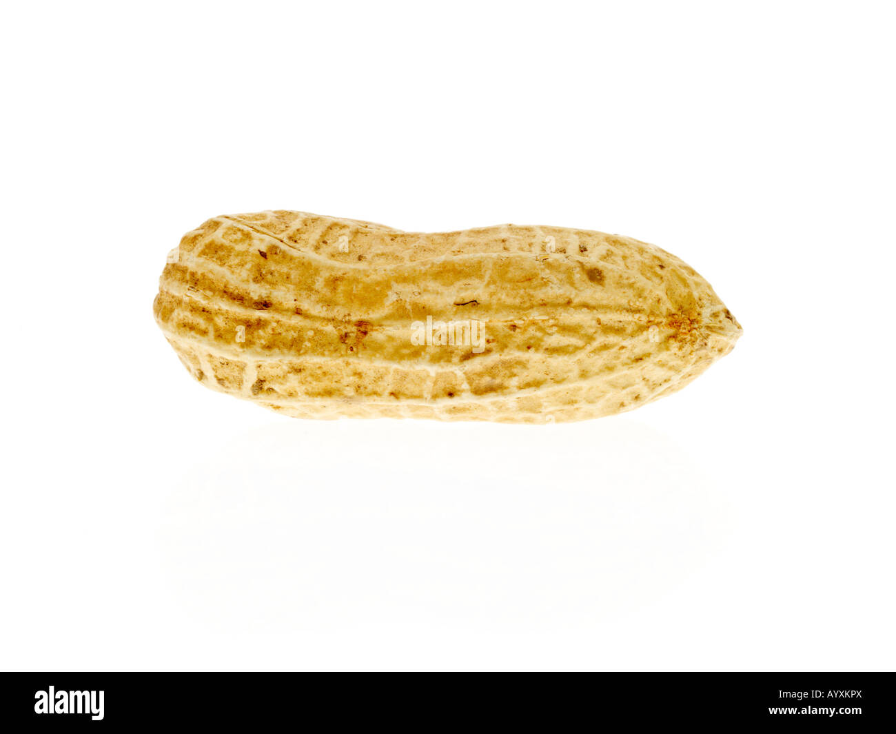 Roasted Monkey Nuts Stock Photo - Alamy