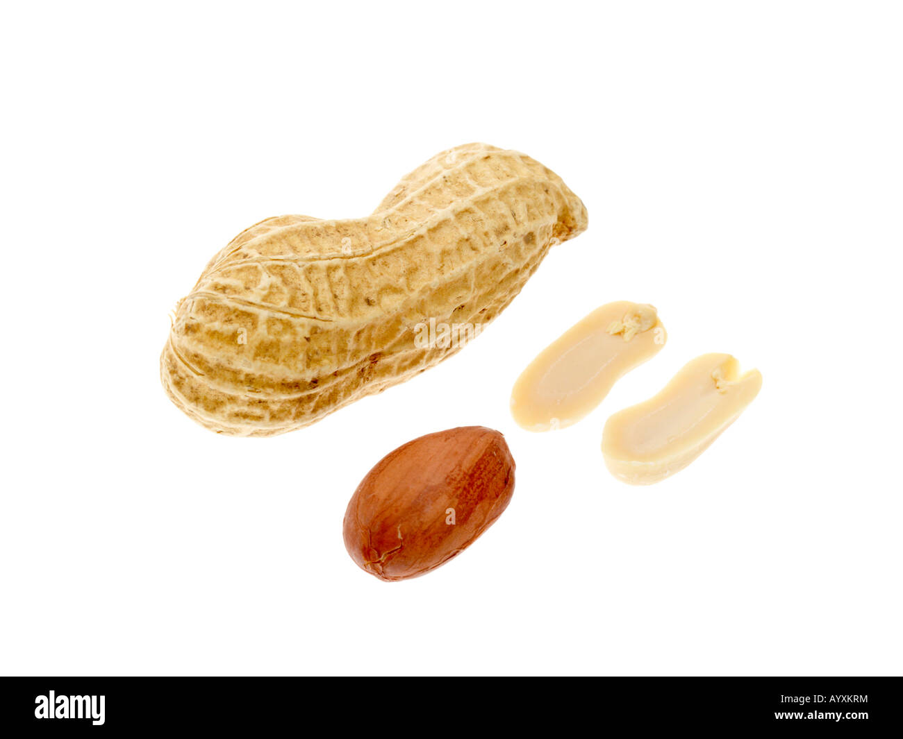 Roasted Monkey Nuts Stock Photo - Alamy