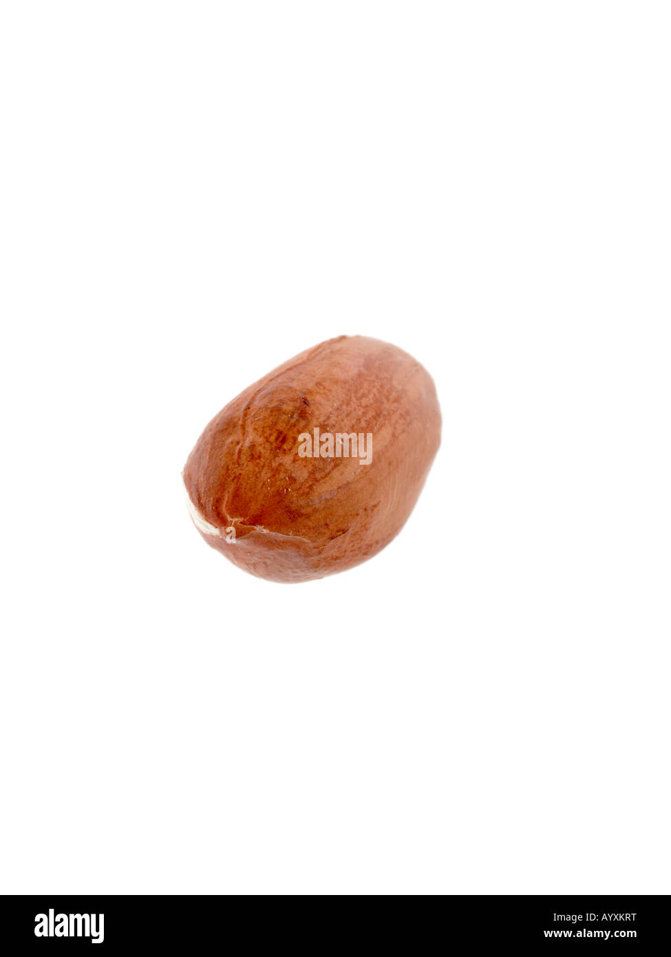 Roasted Monkey Nuts Stock Photo - Alamy